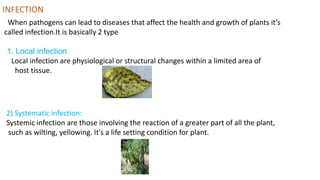 plant pathology introduction.pptx