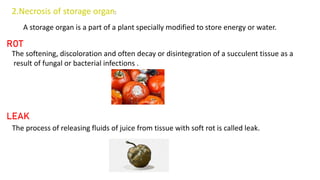 plant pathology introduction.pptx