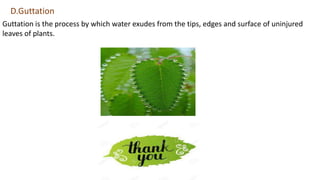 plant pathology introduction.pptx
