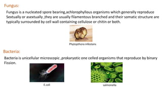 plant pathology introduction.pptx