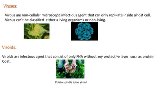 plant pathology introduction.pptx