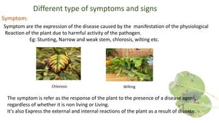 plant pathology introduction.pptx