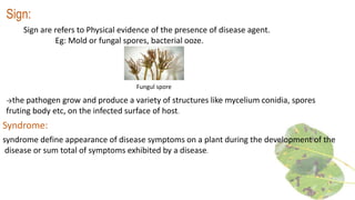 plant pathology introduction.pptx