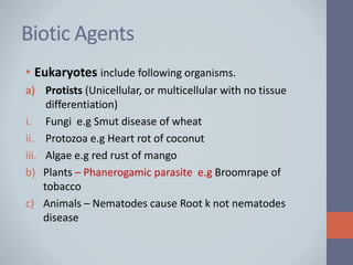 Plant pathology (lecture 1) | PPT