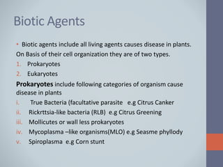 Plant pathology (lecture 1) | PPT