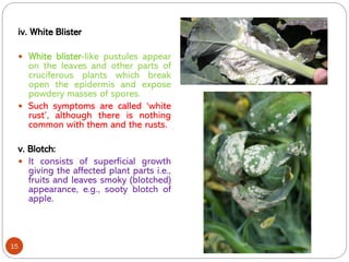 Plant Pathology Lecture 2,.pdf