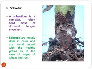 Plant Pathology Lecture 2,.pdf