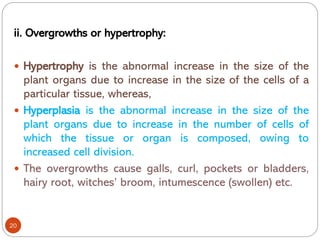 Plant Pathology Lecture 2,.pdf