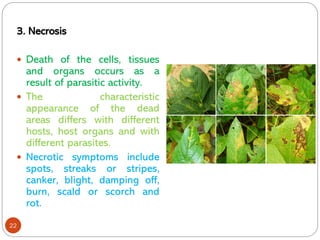 Plant Pathology Lecture 2,.pdf