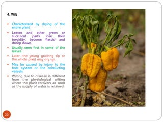 Plant Pathology Lecture 2,.pdf