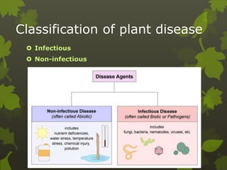 Plant pathology (phytopathology) | PPTX