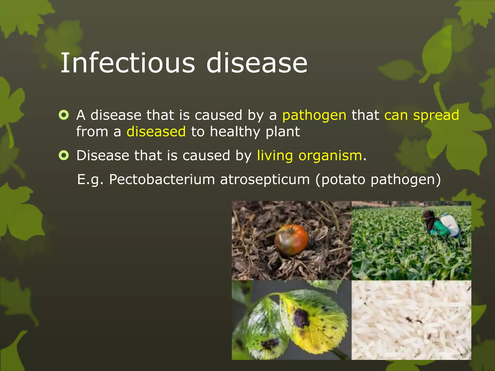 Plant pathology (phytopathology) | PPTX