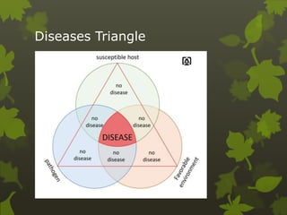 Plant pathology (phytopathology) | PPTX