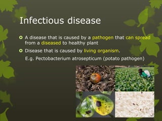 Plant pathology (phytopathology) | PPTX