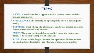 Plant pathology | PPTX