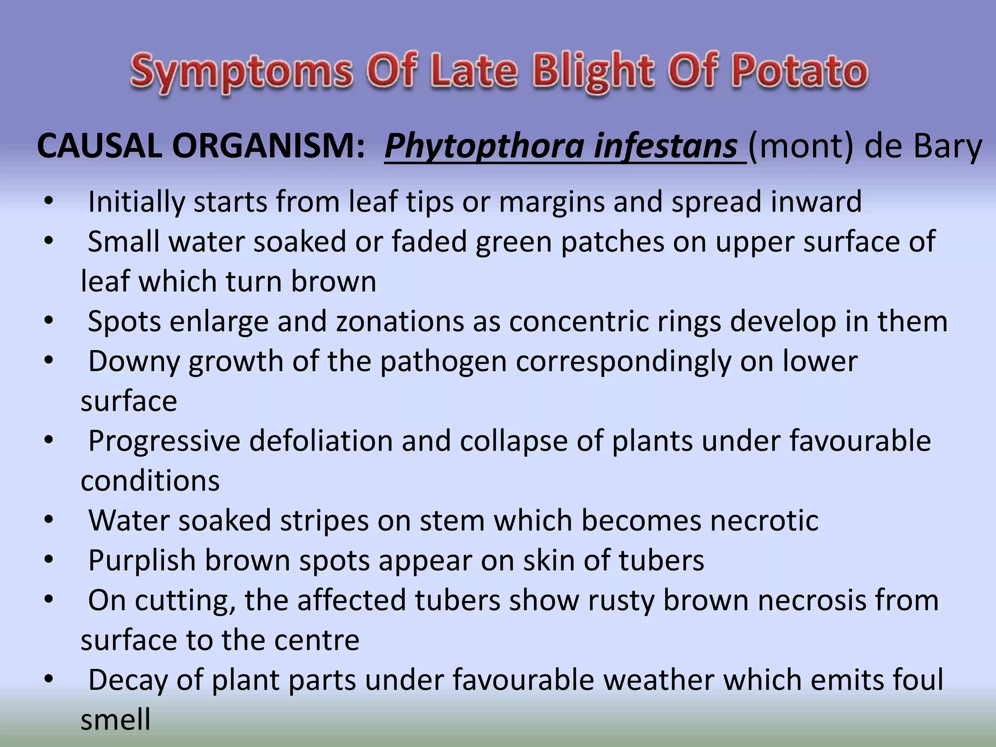 symptoms of disease in plants | PPTX