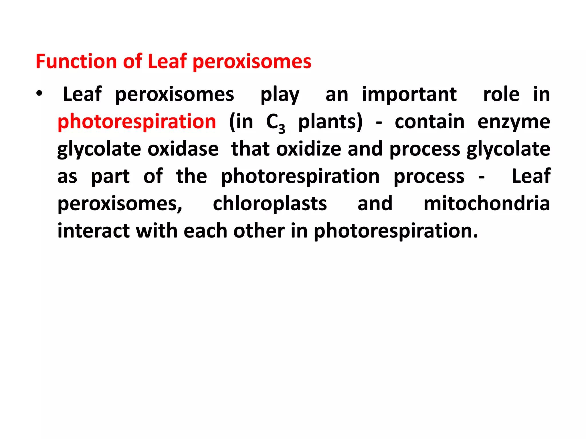 PLANT PEROXISOMES SMG | PPTX