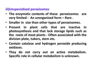 PLANT PEROXISOMES SMG | PPTX