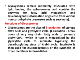 PLANT PEROXISOMES SMG | PPTX