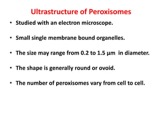 PLANT PEROXISOMES SMG | PPT