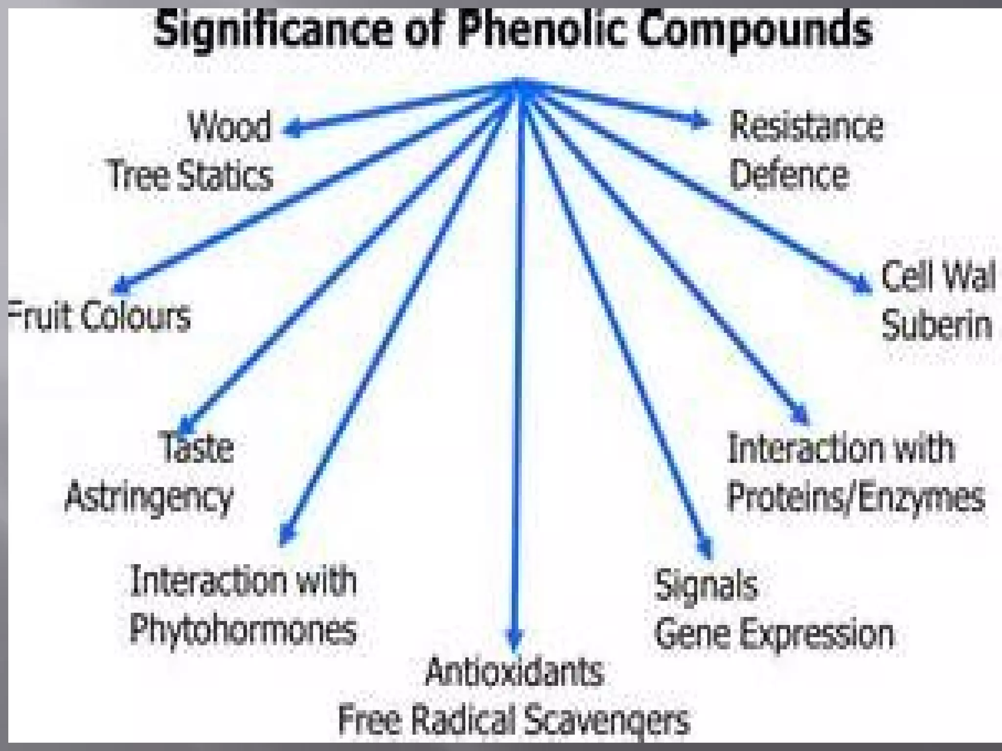 Plant phenolic compounds | PPT