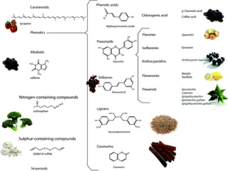 Plant phenolic compounds | PPT