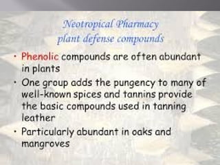 Plant phenolic compounds | PPT