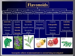 Plant phenolic compounds | PPT