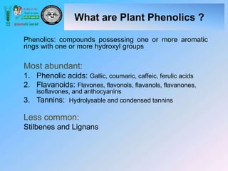 Plant phenolics in animal health and methane mitigation. avijit dey | PPT