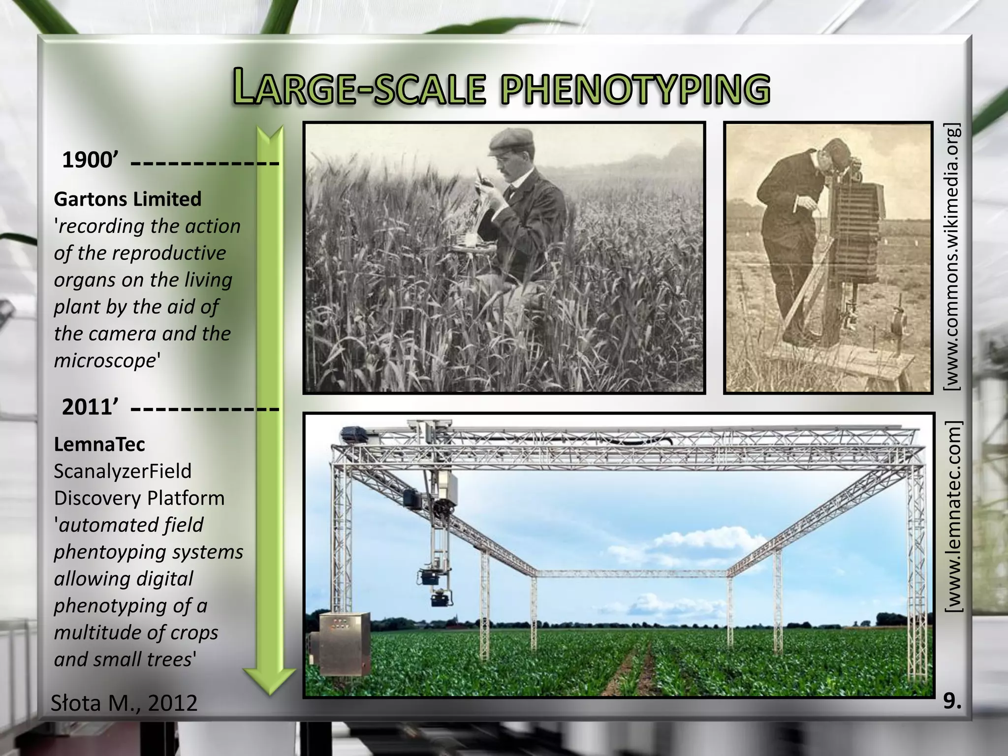 Plant phenotyping platforms | PDF