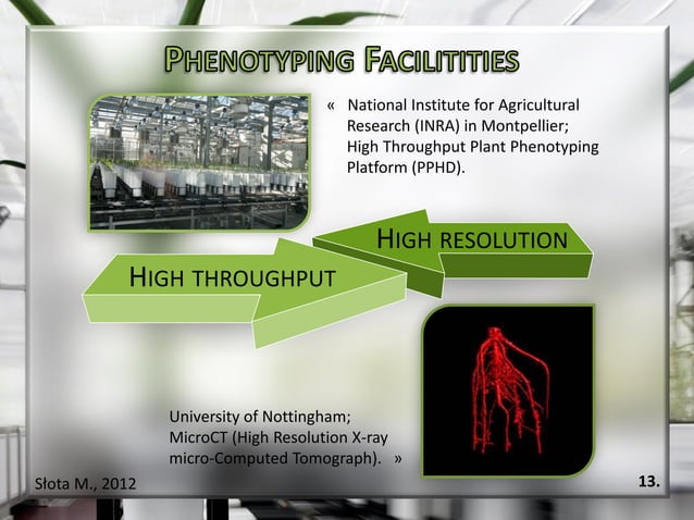 Plant phenotyping platforms | PDF | Gardening | Home & Garden