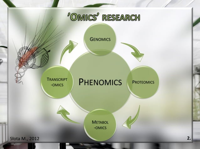 Plant phenotyping platforms | PDF | Gardening | Home & Garden