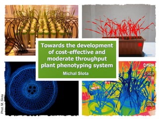 Plant phenotyping systems | PDF