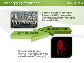 Plant phenotyping systems | PDF