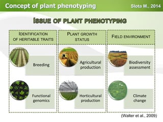 Plant phenotyping systems | PDF