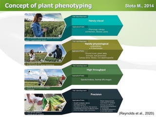 Plant phenotyping systems | PDF