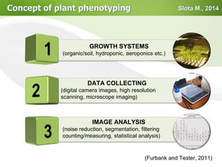Plant phenotyping systems | PDF