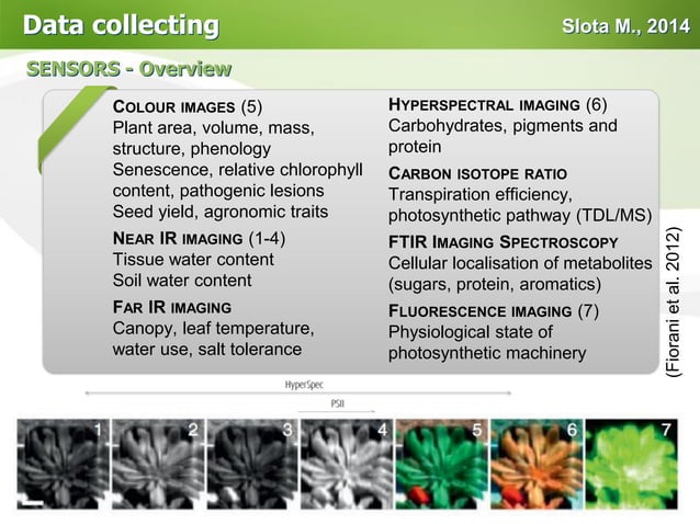 Plant phenotyping systems | PDF | Agriculture | Industries