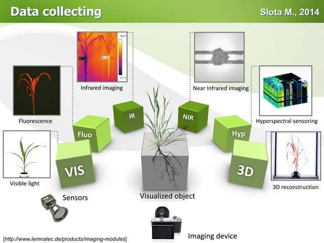 Plant phenotyping systems | PDF | Agriculture | Industries