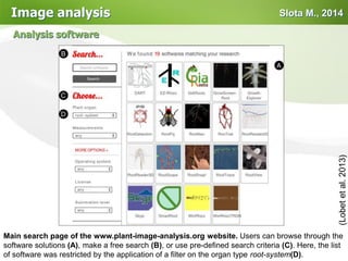 Plant phenotyping systems | PDF