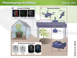 Plant phenotyping systems | PDF