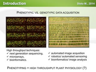 Plant phenotyping systems | PDF