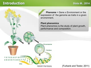 Plant phenotyping systems | PDF