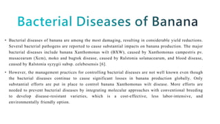 plant phisiology presentation how to plant take minerals | PPT
