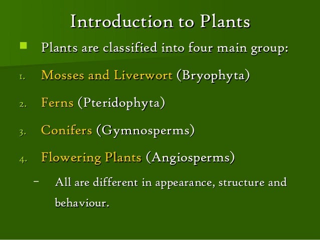 Plant Phyla