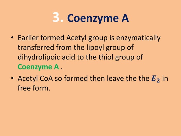 Factors Affecting The Conversion Of Pyruvic Acid To Acetyl Coa Enzyme