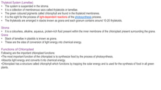 Plant physio. Photosynthesis.pptx