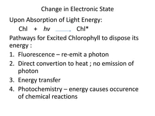 Plant physio photosynthesis | PPTX