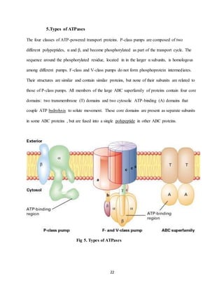 Plant physiolgy | PDF