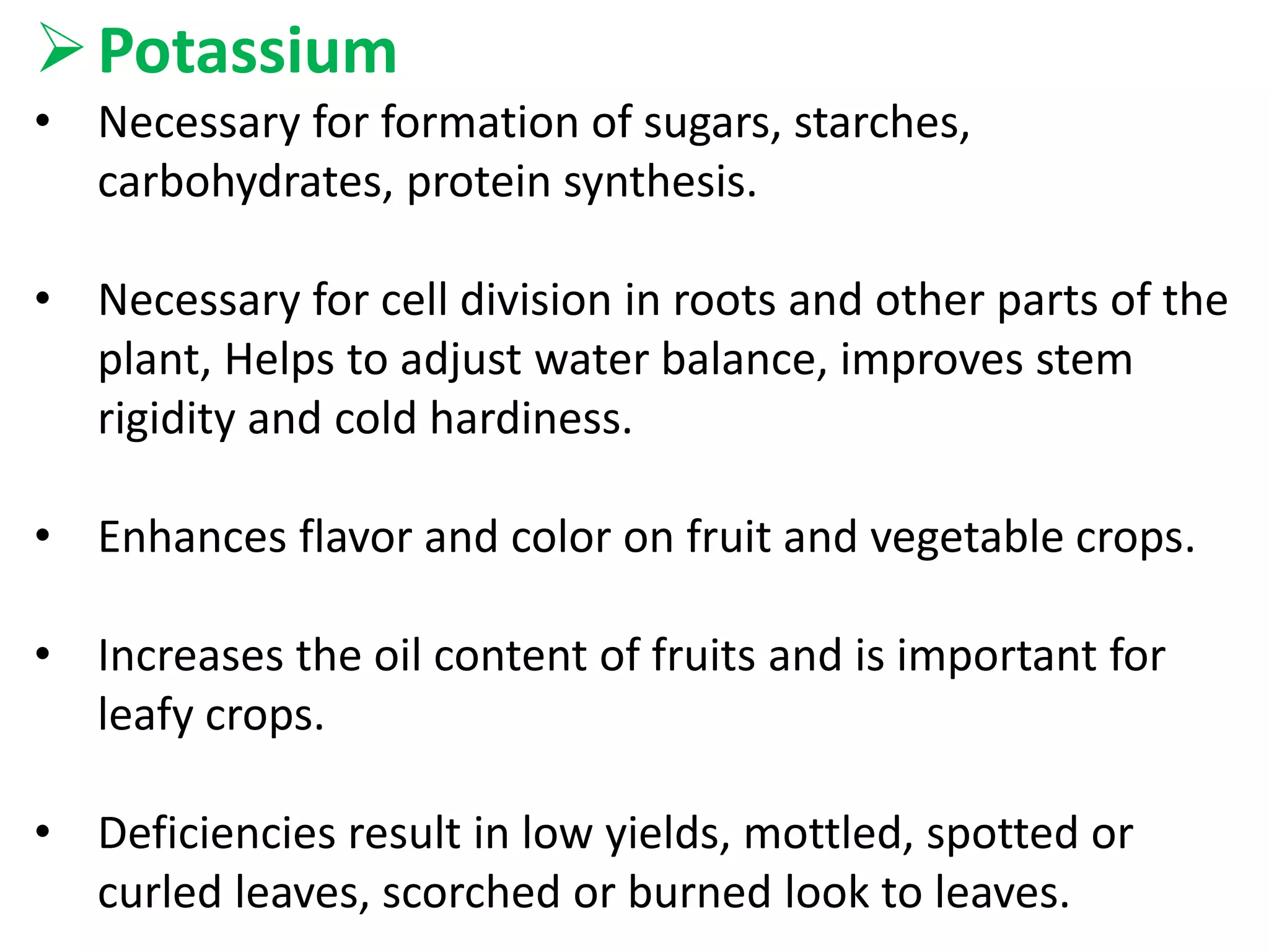 Plant physiology | PPT
